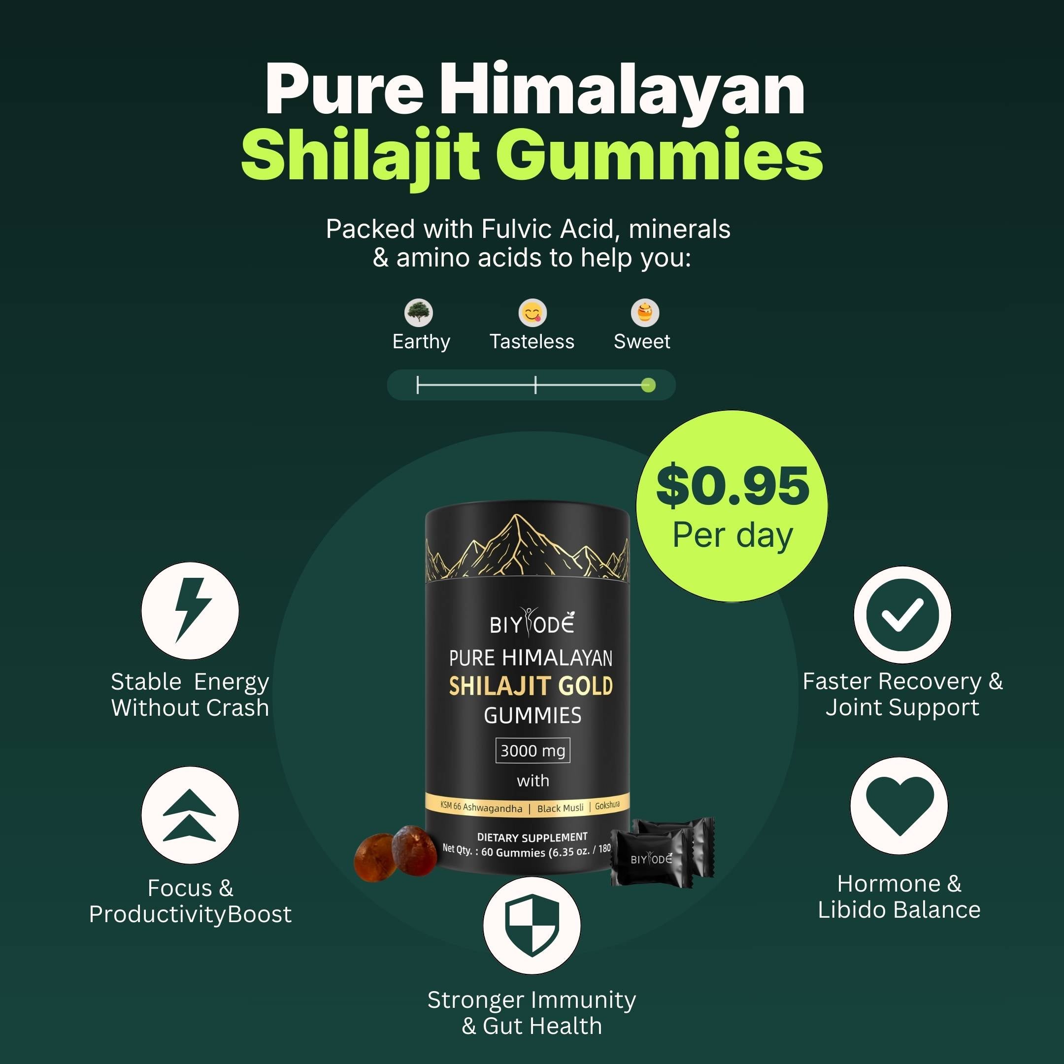 Himalayan Shilajit Gummies – Daily Performance Boost – Biyode